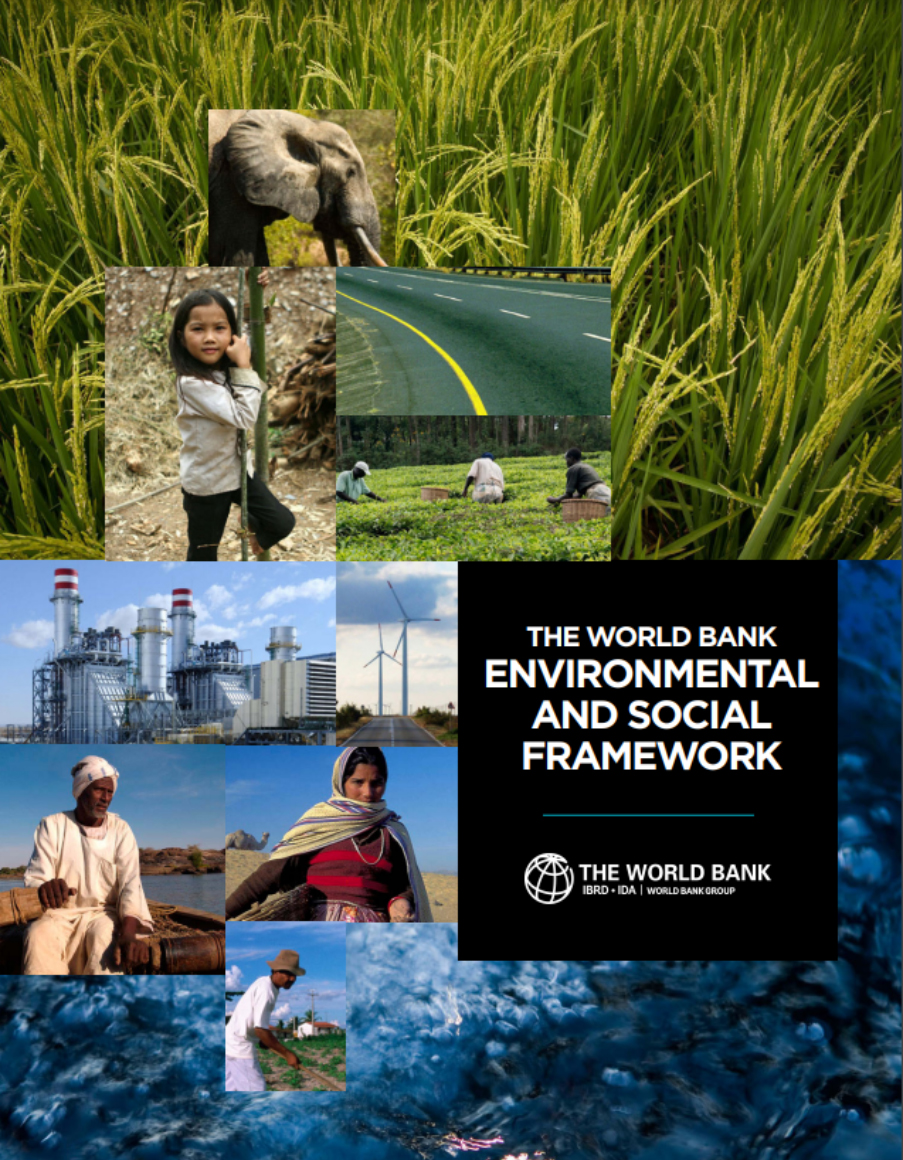 Environmental and Social Activities » USUT.mn